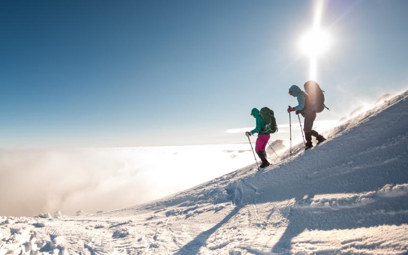 Inicio | Banco de la República